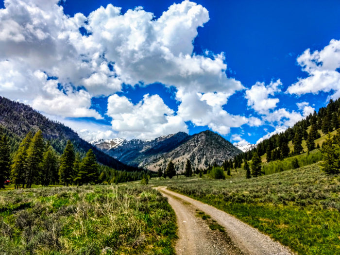 Cougar Dispersed Camping Area | Boondocker's Bible