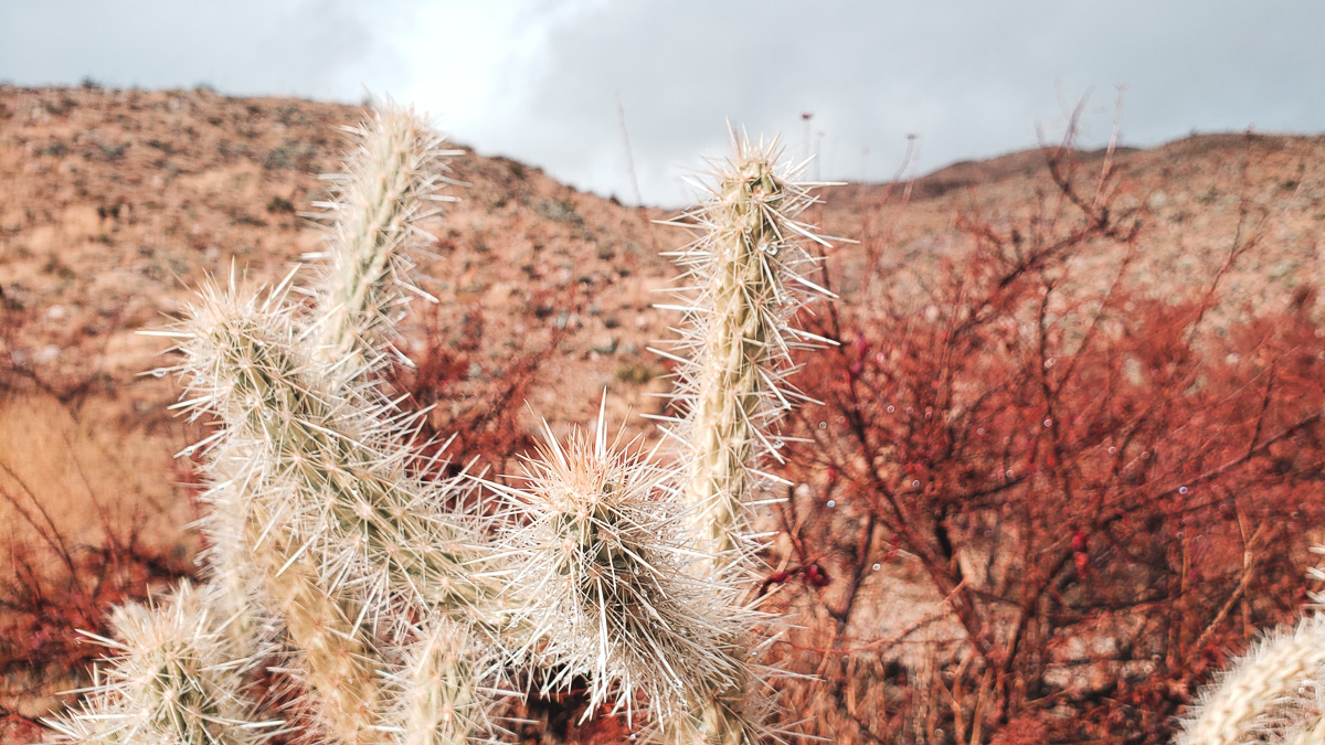Scissors Crossing Parking Area | Boondocker's Bible