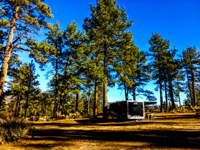 Thomas Mountain Yellow Post Site #1 | Boondocker's Bible