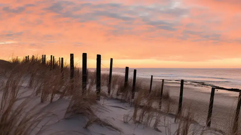 A Guide to Boondocking in Delaware – Boondocker's Bible