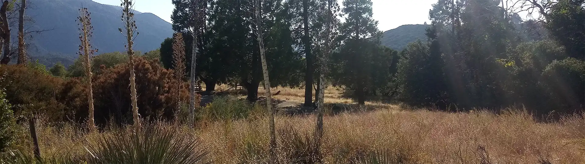 Clark's Ranch Yellow Post Site | Boondocker's Bible