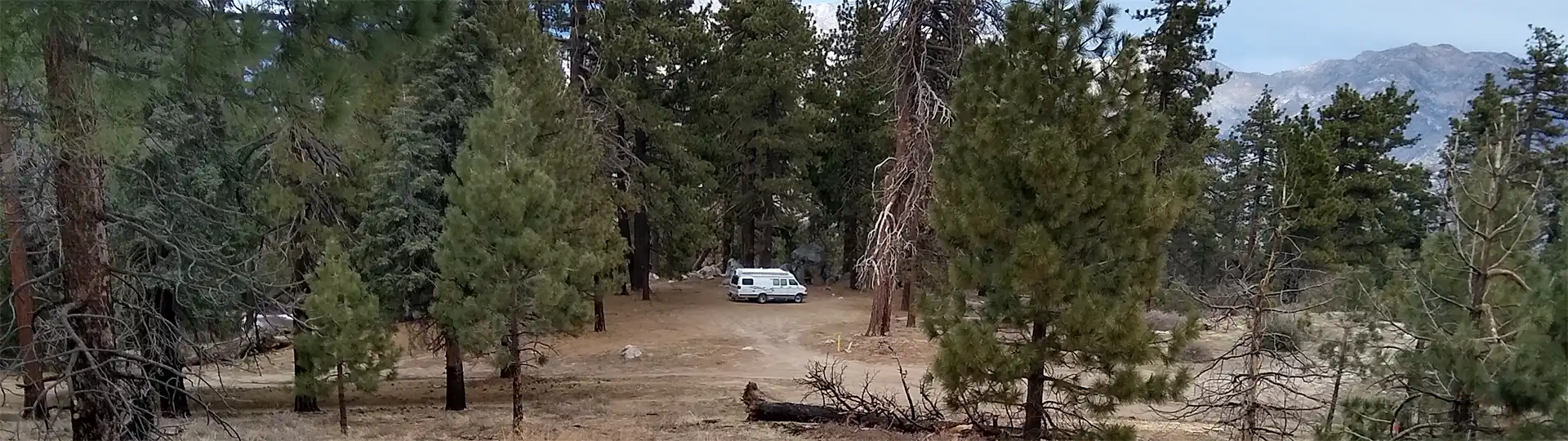 Thomas Mountain Yellow Post Sites | Boondocker's Bible