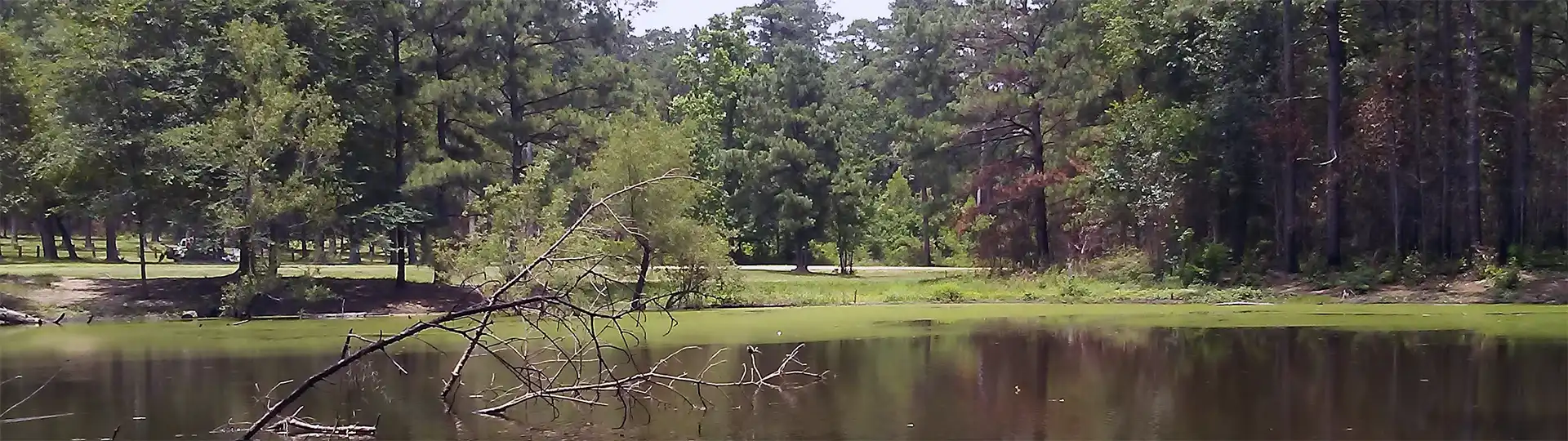 Kelly’s Pond Campground – Boondocker's Bible