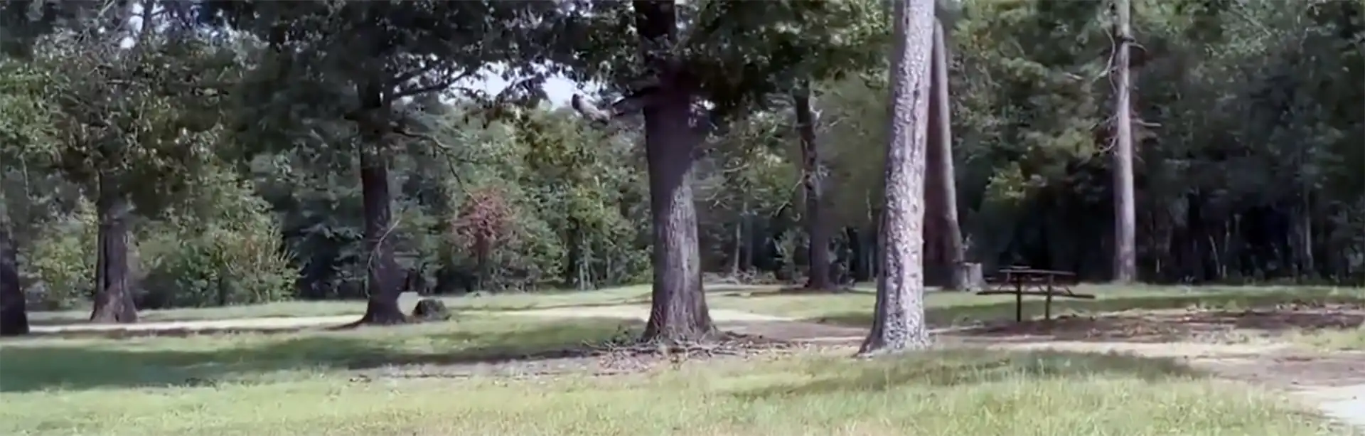 Thomas Lake Park, Naples, TX – Boondocker's Bible