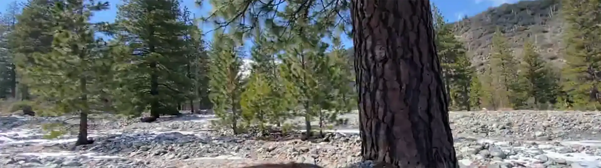 Lone Camp, Lytle Creek, CA – Boondocker's Bible