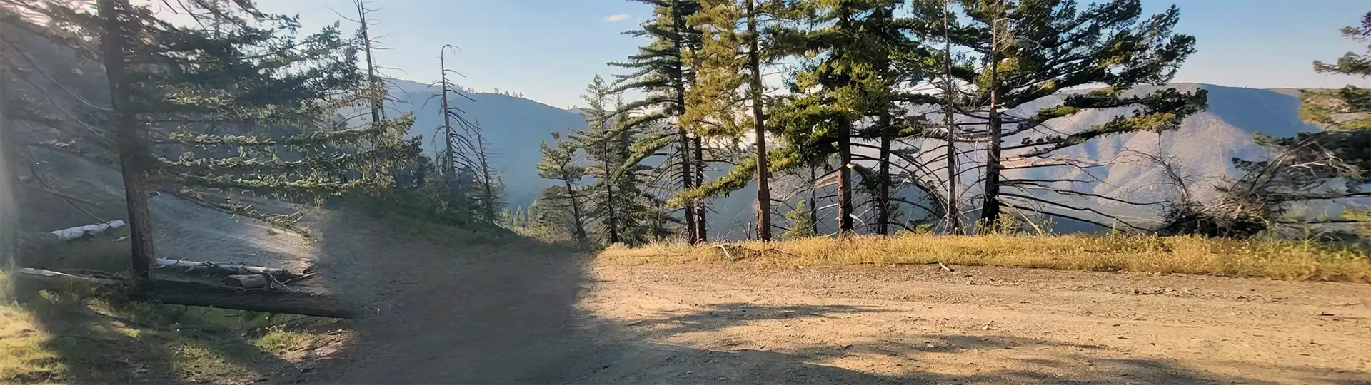 Pine Camp Yellow Post Site – Boondocker's Bible