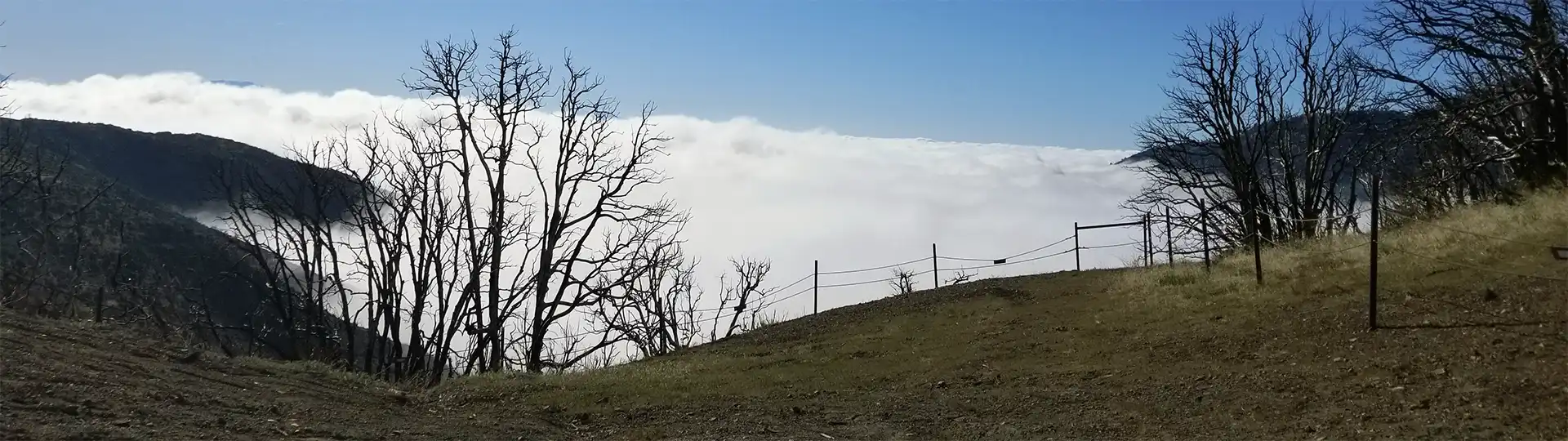 Pit Camp Yellow Post Site – Boondocker's Bible