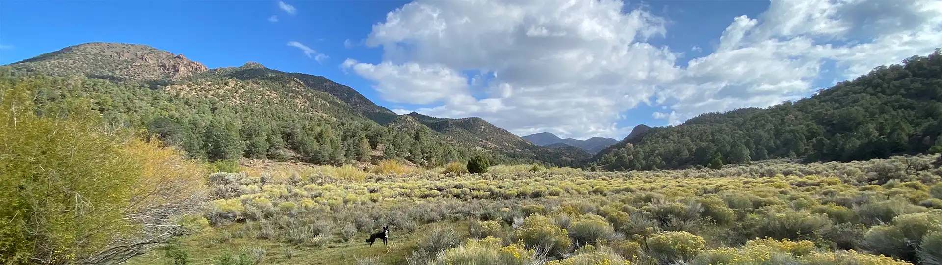Barley Creek Campground, Tonopah, NV – Boondocker's Bible