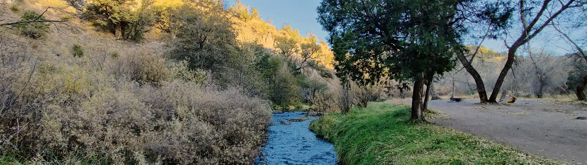 Grapevine Campground, Gila Hot Springs, NM – Boondocker's Bible