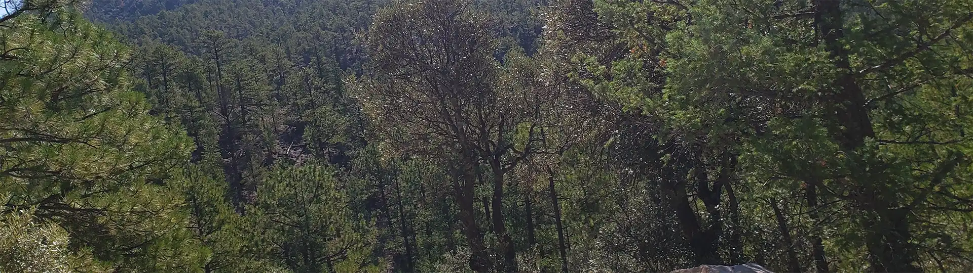 Rocky Canyon Campground, Mimbres, NM – Boondocker's Bible