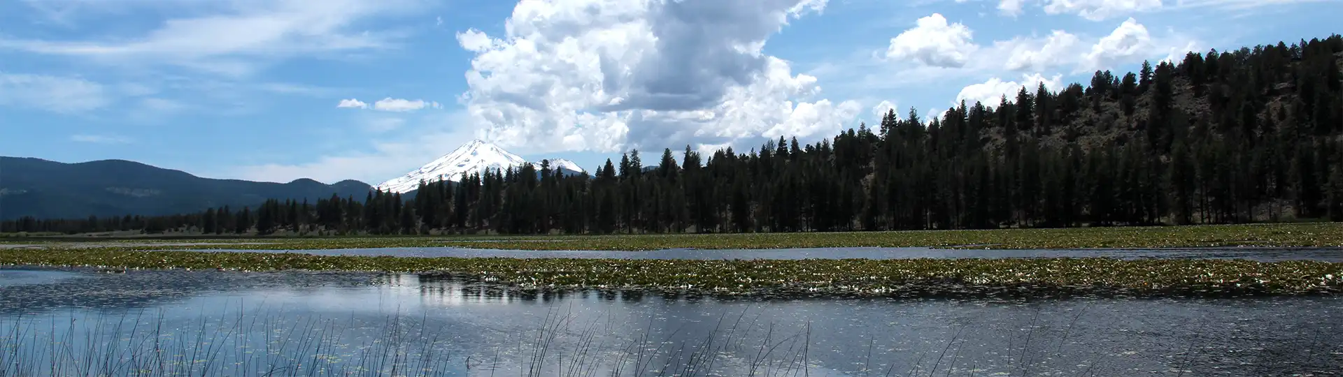 Orr Lake Campground, Macdoel, CA – Boondocker's Bible