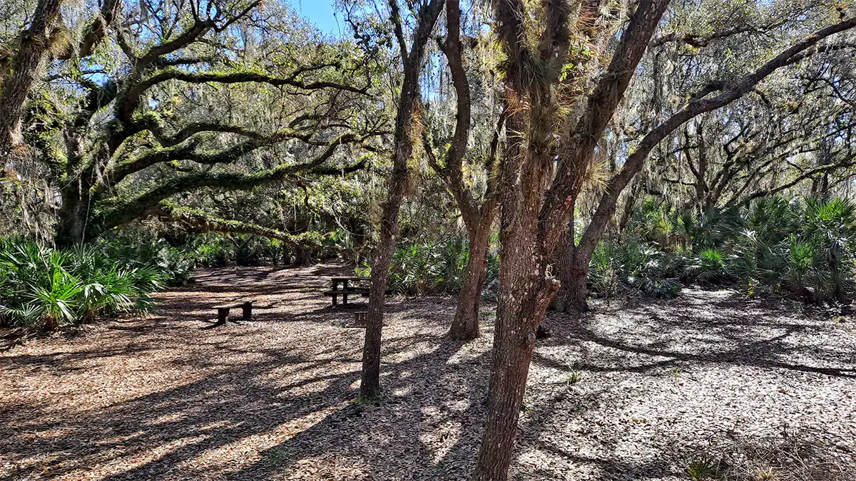 KICCO Rattlesnake Hammock Campsite, River Ranch, FL – Boondocker's Bible
