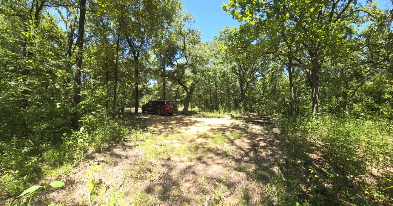 McAdams Pond River Access Campsite – Boondocker's Bible